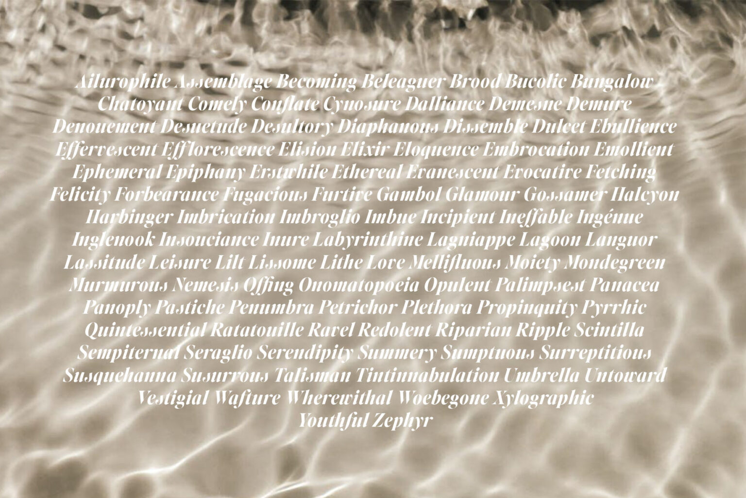 Editor’s Note Display | A 16-font Editorial Serif Family | Jen Wagner Co