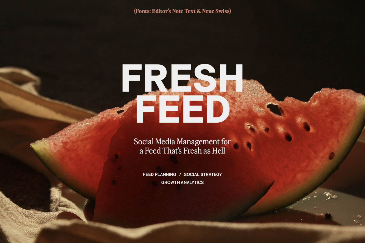 Editor’s Note Text | A 3-Weight Editorial Text Serif | Jen Wagner Co