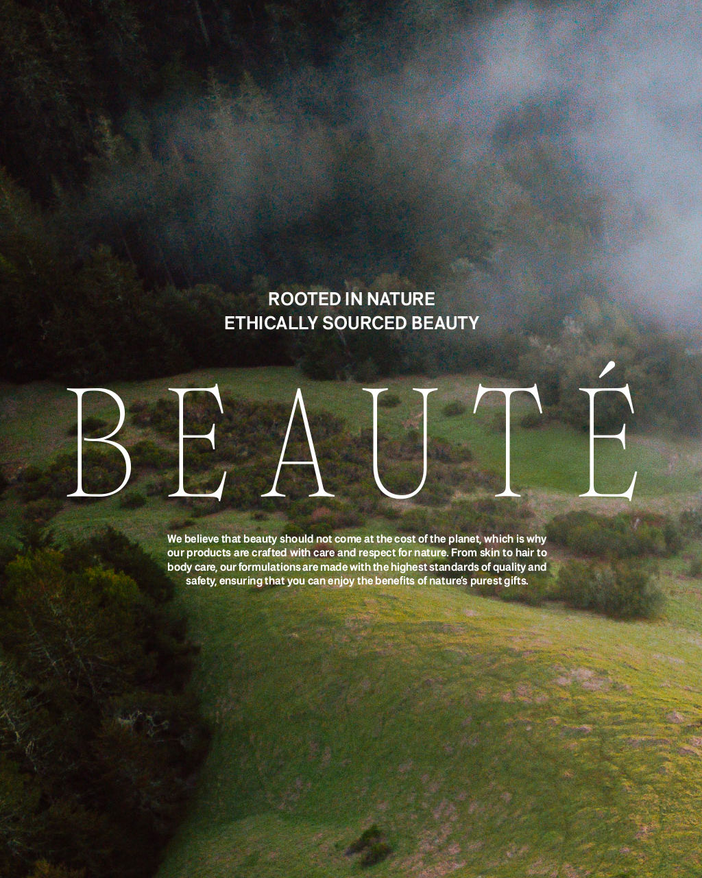 5 Stunning Fonts to Pair with Neue Swiss: Elevate your designs with ...